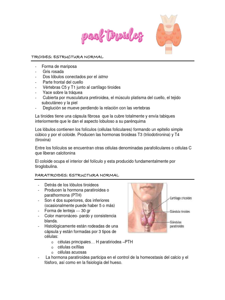Paaf Tiroides | PDF | Tiroides | Glándulas