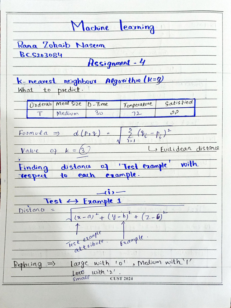 BCS203084 - Zohaib Naseem - A4 | PDF