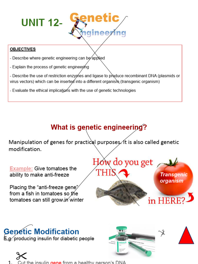 Genetic Engineering: Process and Ethics | PDF | Genetic Engineering ...