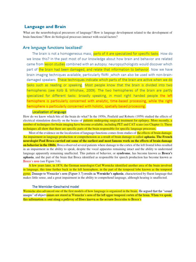 Language and Brain (Lobes of Brain) | PDF | Speech | Lateralization Of ...
