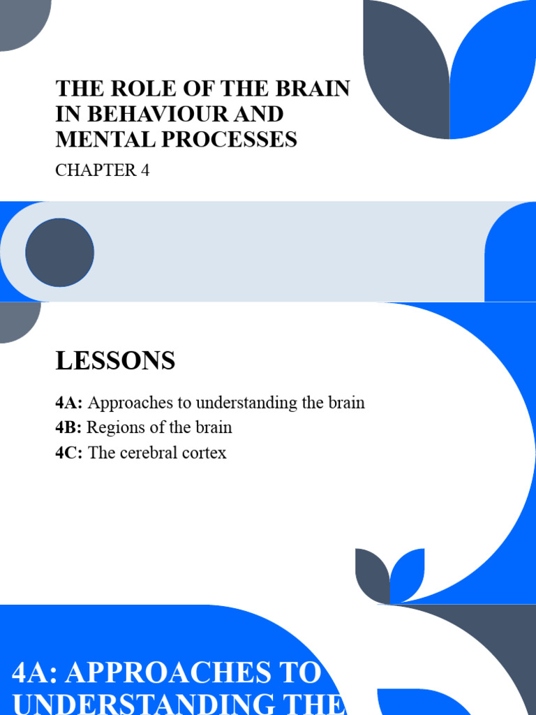 4 - THE ROLE OF THE BRAIN IN BEHAVIOUR AND MENTAL PROCESSES (1) (1 ...