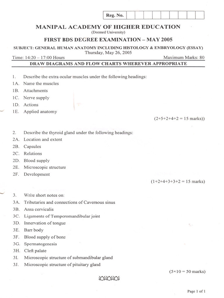 Anatomy Test Pdf Common Carotid Artery Anatomy