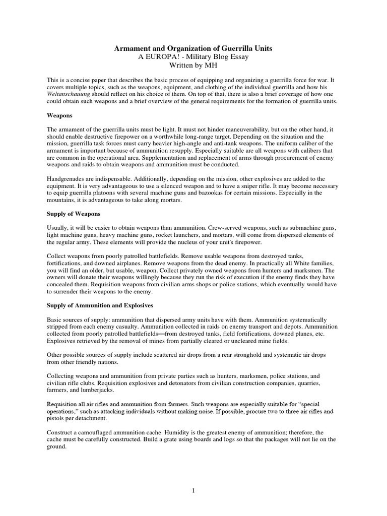 Armament and Organization of Guerrilla Units | PDF | Platoon | Ammunition