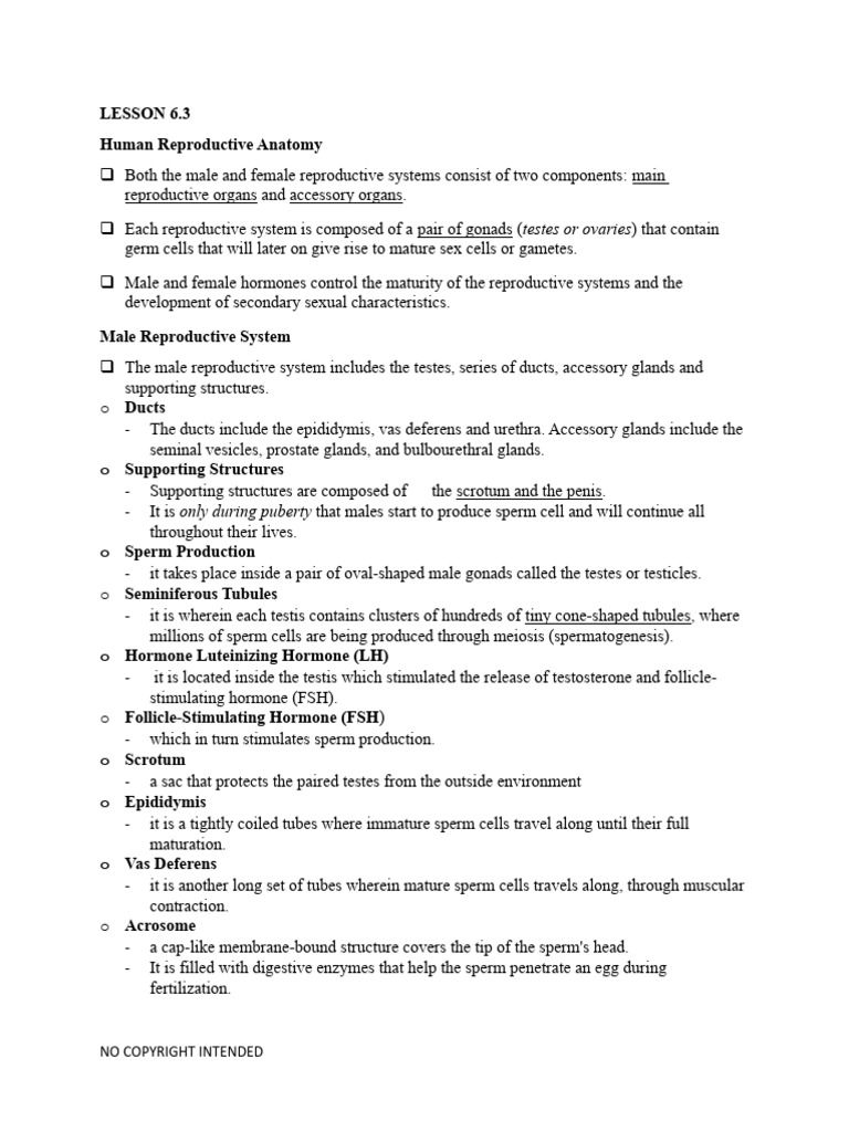 BIOLOGY (HUMAN REPRODUCTIVE ANATOMY) LECTURE NOTES OR BOOK NOTES | PDF ...