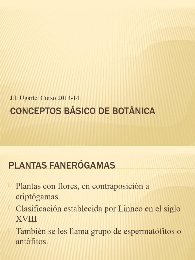 Conceptos basicos de botanica | PDF | Fruta | Flores