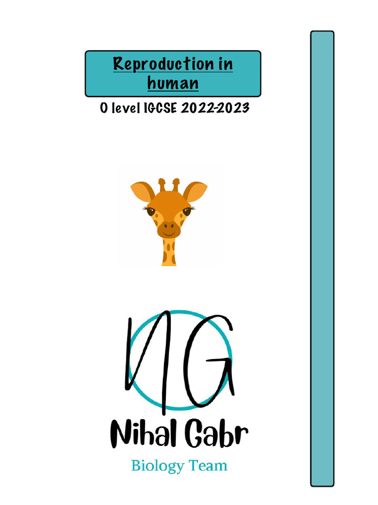 Amal 2 | PDF | Menstrual Cycle | Luteinizing Hormone