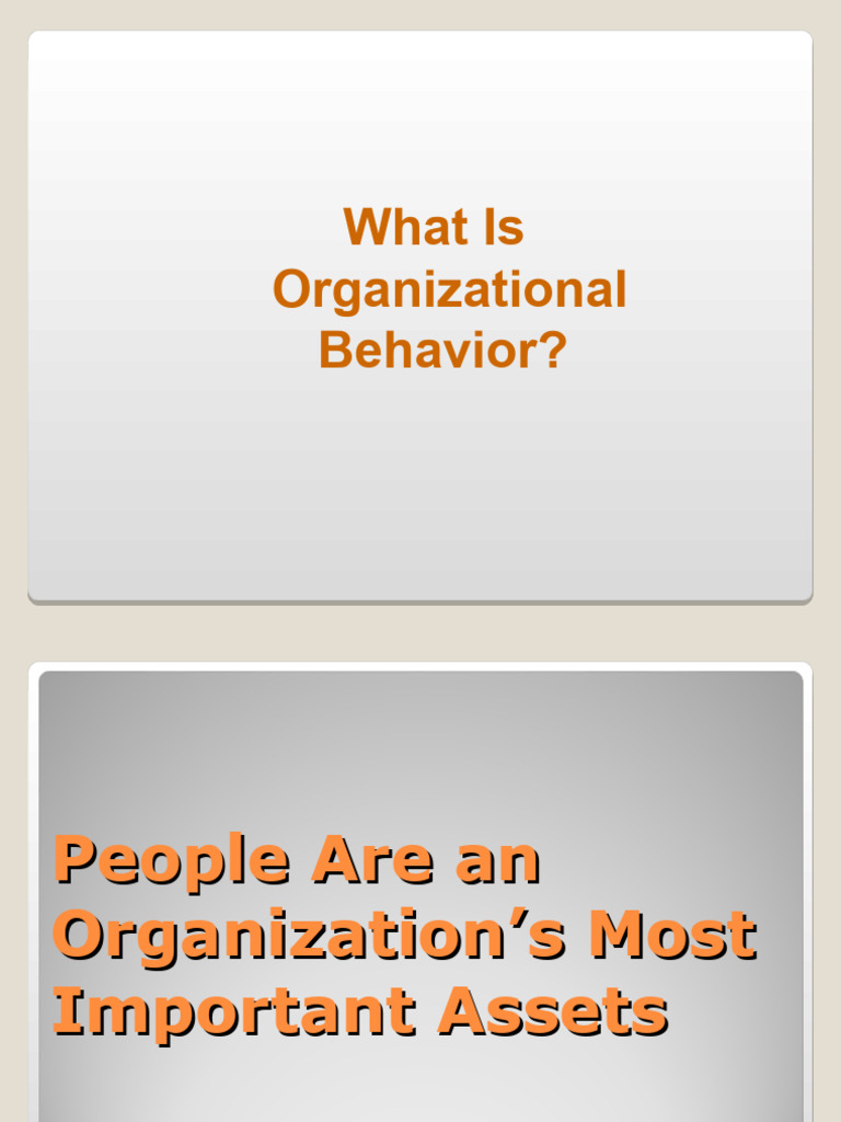 Introduction of Organisational Behaviour | PDF | Psychology ...