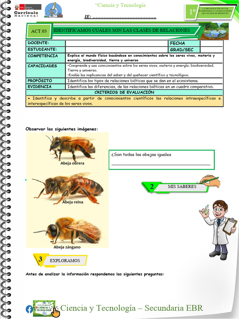 B-1º Act 3 Cyt Und 4- Sem 2 | PDF | Depredación | Ecosistema