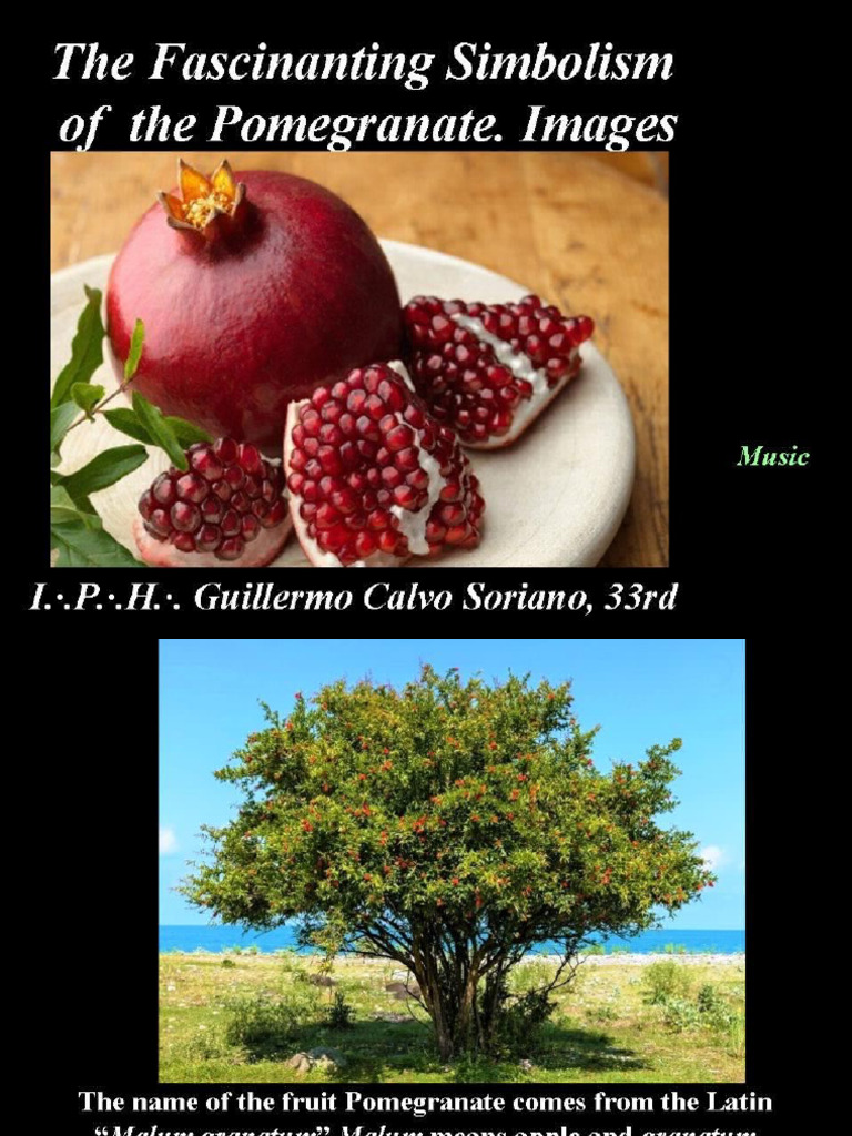 The Fascinanting Simbolism of The Pomegranate. Images - I. . P. . H. . Guillermo Calvo Soriano ...