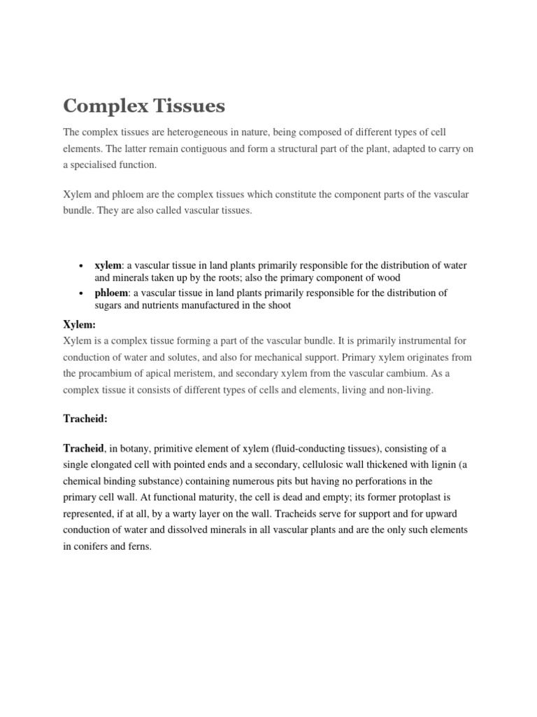 Complex-Tissue | PDF | Tissue (Biology) | Plant Physiology