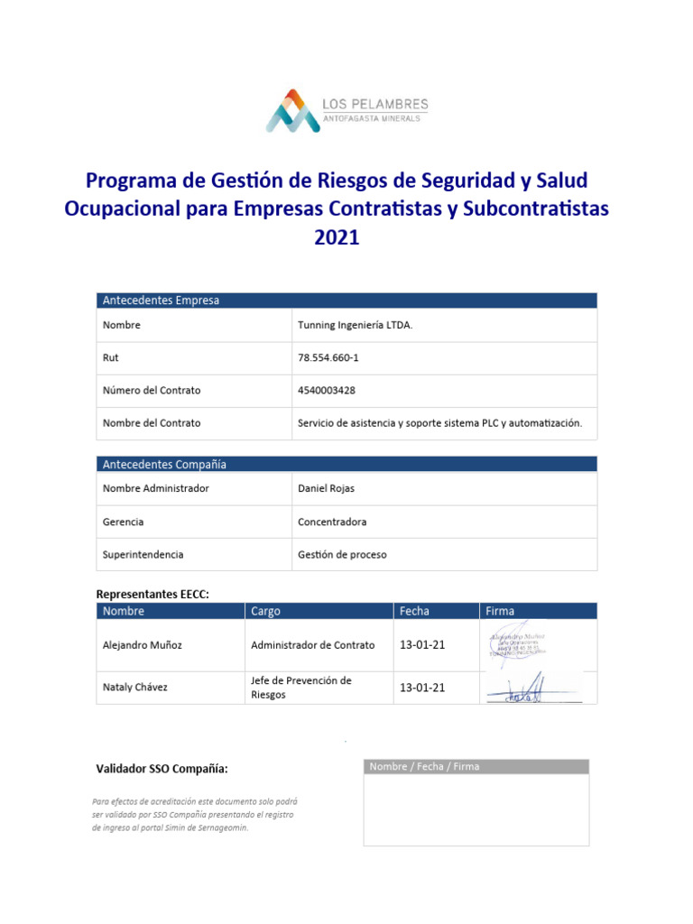 Estándar Programa SSO EECC 2021 | PDF | Seguridad y salud ocupacional | Planificación