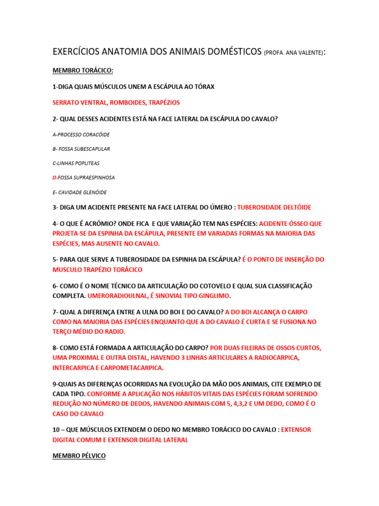 Exercícios Anatomia Prova 2 Gabarito Pdf Pélvis Sistema Locomotor