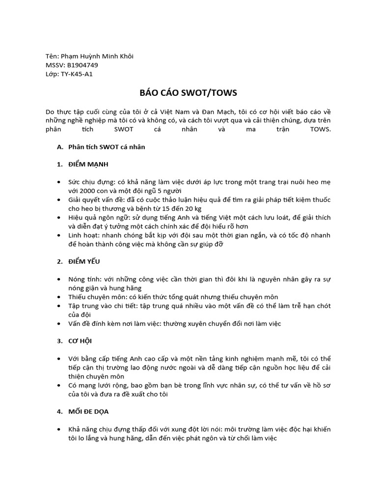 SWOT TOWS Vietnamese Translated | PDF