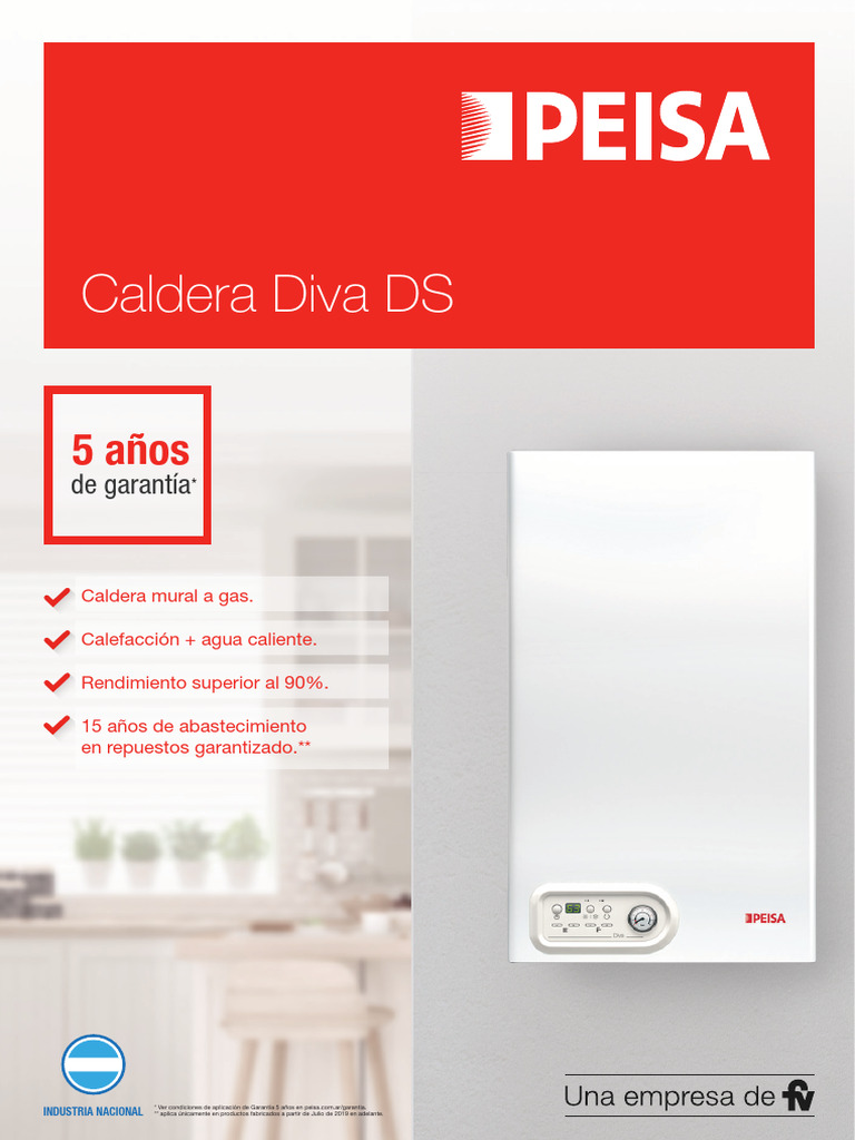 caldera peisa | PDF | Calor | Cantidades fisicas