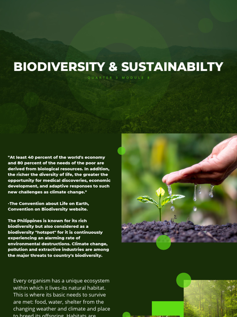 Biodiversity Sustainability Pdf Habitat Destruction Biodiversity