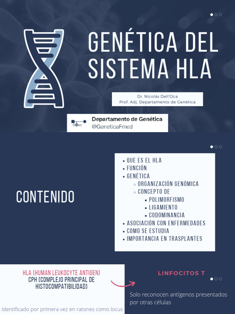 Genética del Sistema HLA | PDF | Antígeno leucocitario humano | Complejo mayor de ...