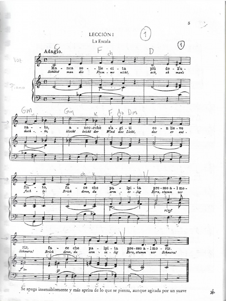 VACCAI - leccion 1 | PDF