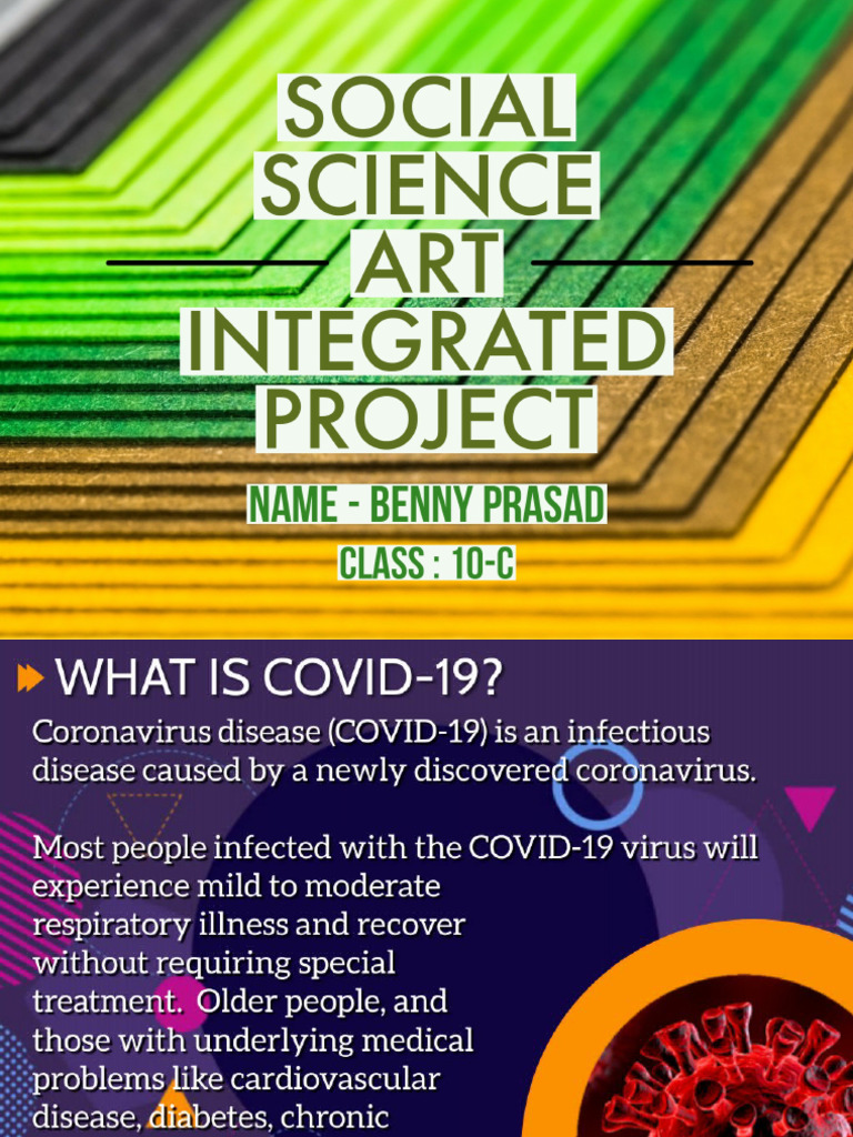 Social Science Art Integrated Project (Benny Prasad) | PDF