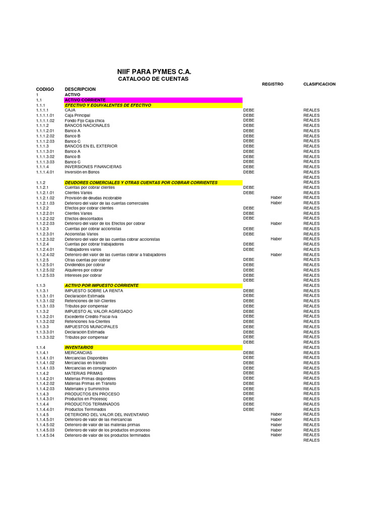 Plan de Cuentas NIIF | PDF | Impuestos | Salario
