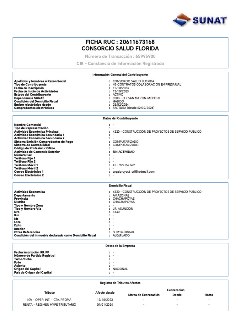 Ficha RUC CSF | PDF | Industrias de servicio | Economias