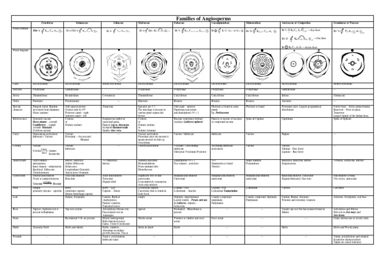 Angiosperm Families Neet Newly Added | PDF | Leaf | Plant Reproduction