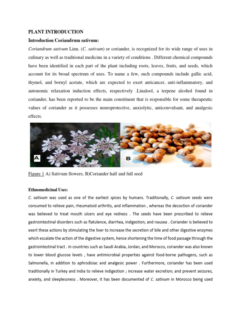 Plant Introduction | PDF | Turmeric | Polyphenol Plant Introduction | PDF | Turmeric | Polyphenol