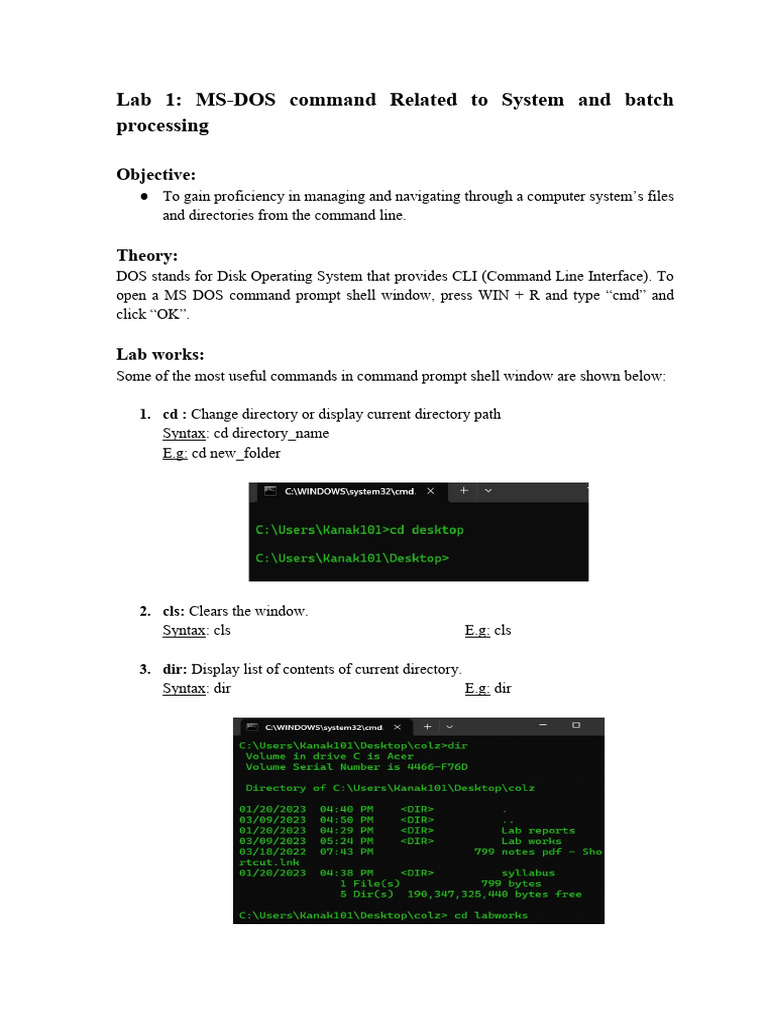 Lab 1 MS DOS Command Related To System and Batch Processing 1 | PDF | Filename | Computer File