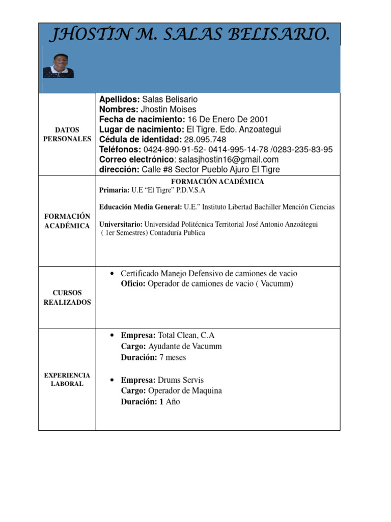 Currículum de Jhostin M. Salas Belisario | PDF