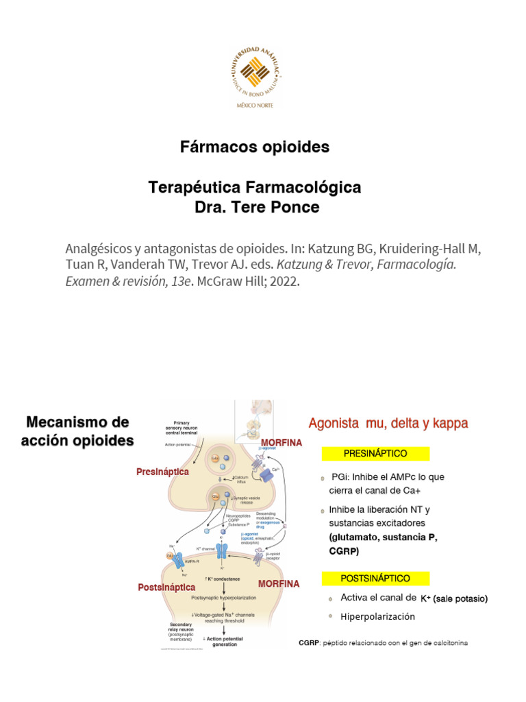 Opioides 2022 | PDF | Opioide | Naloxona