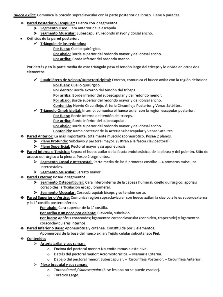 Hueco Axilar, Músculos Del Antebrazo y de La Mano. | PDF | Tejido suave ...