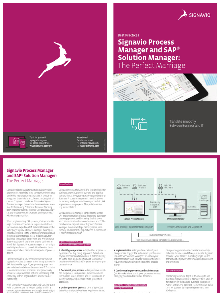Signavio Process Manager and SAP Solution Manager- The Perfect Marriage ...