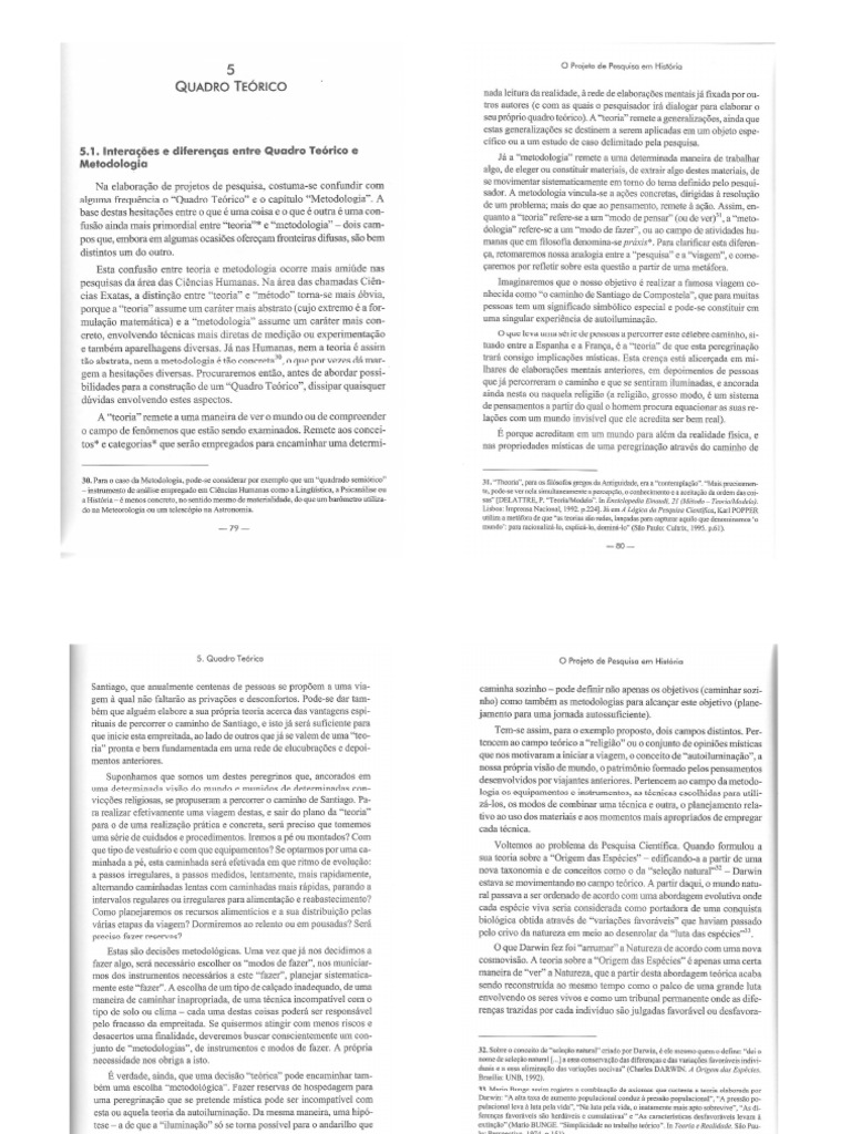 Quadro Teórico | PDF