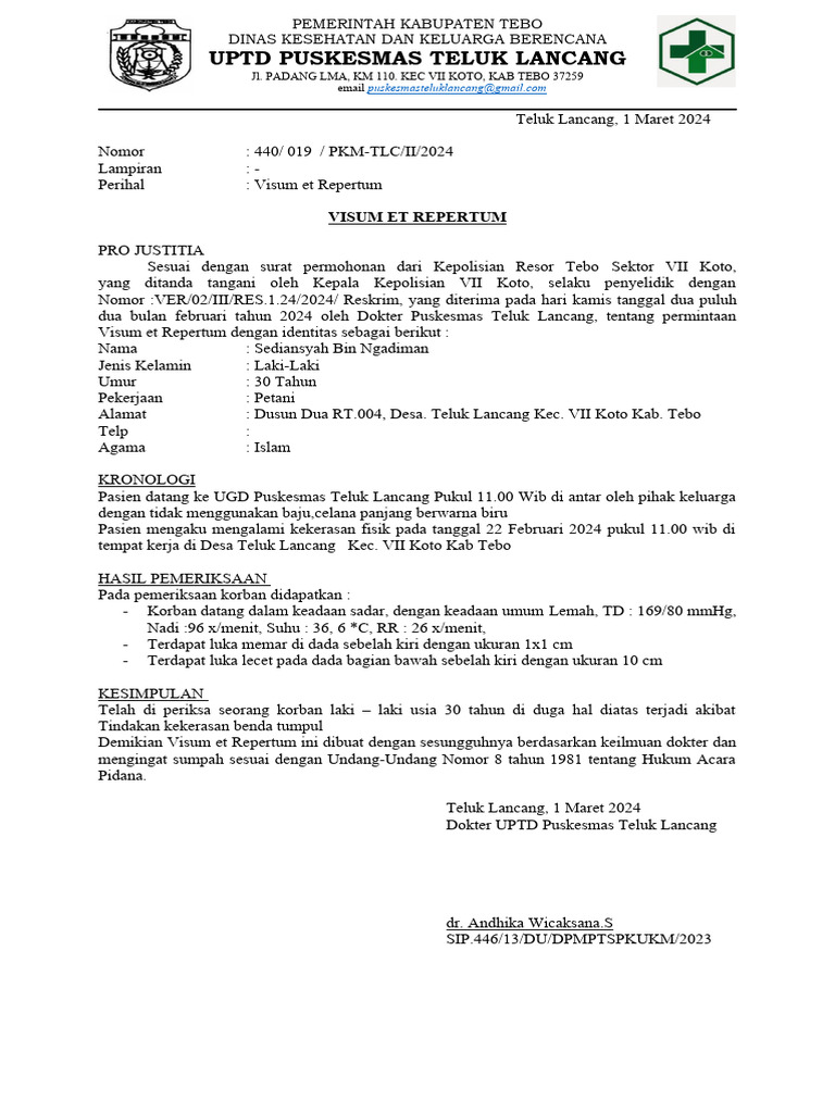 Surat Visum | PDF