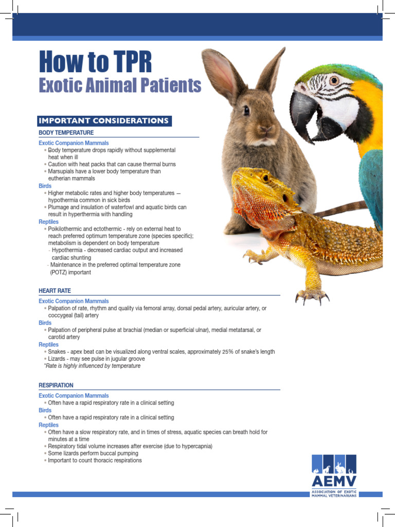 AEMV Vitals Handout FNL Print | PDF | Thermoregulation | Heart