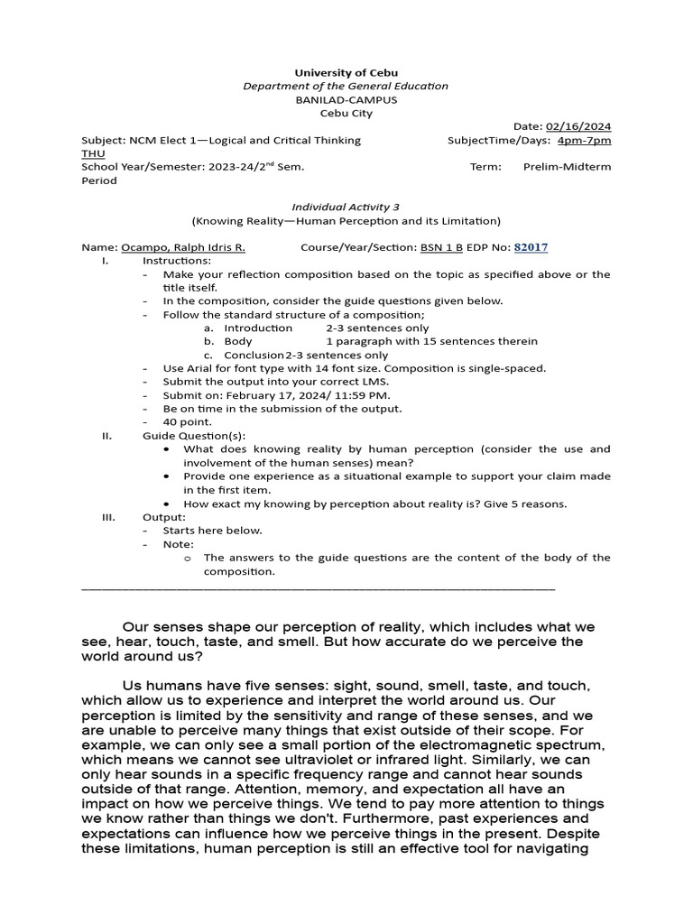 OCAMPO - Individual Activity 3 - Knowing Reality-Human Perception and Its Limitation | PDF ...