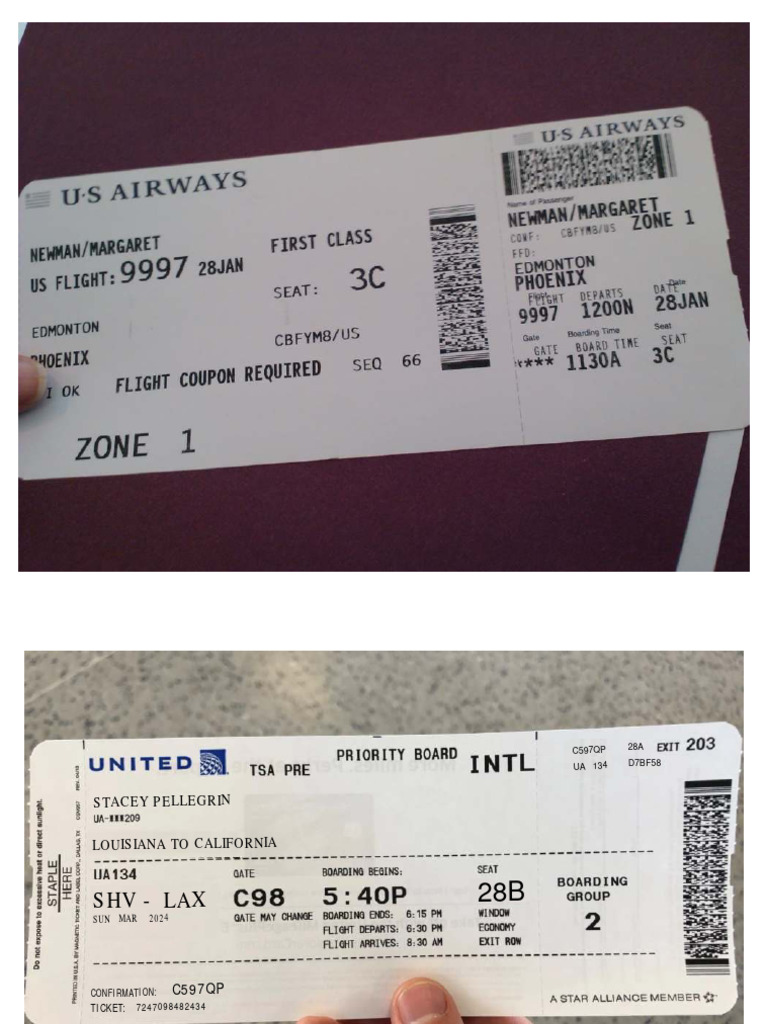 Paid Flight Ticket | PDF