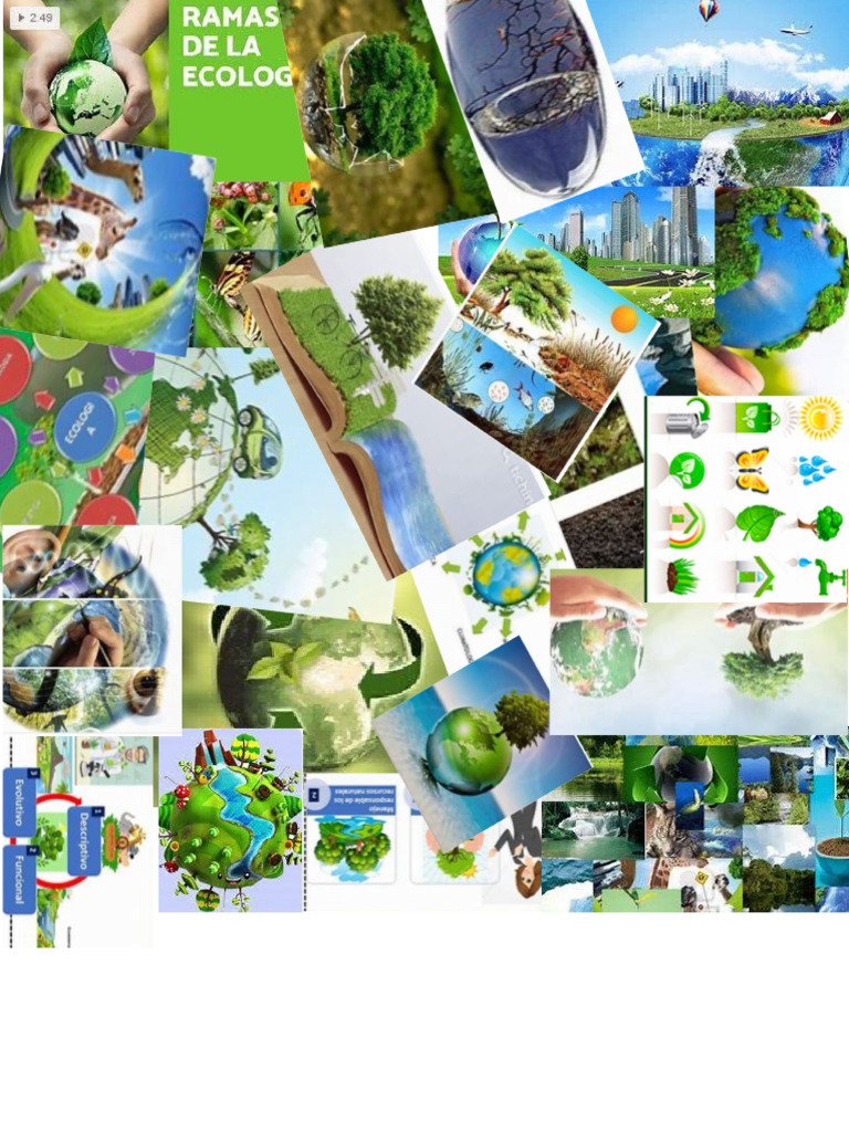 Ecologia Collage | PDF