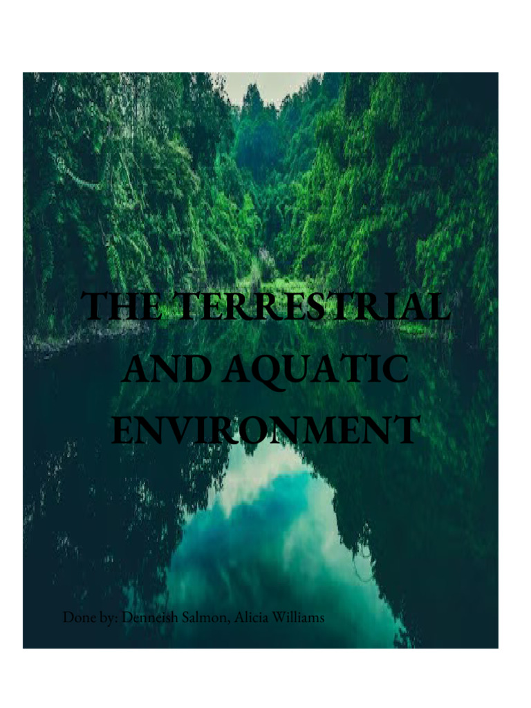 Integrated Science Project | PDF | Soil | Water Purification