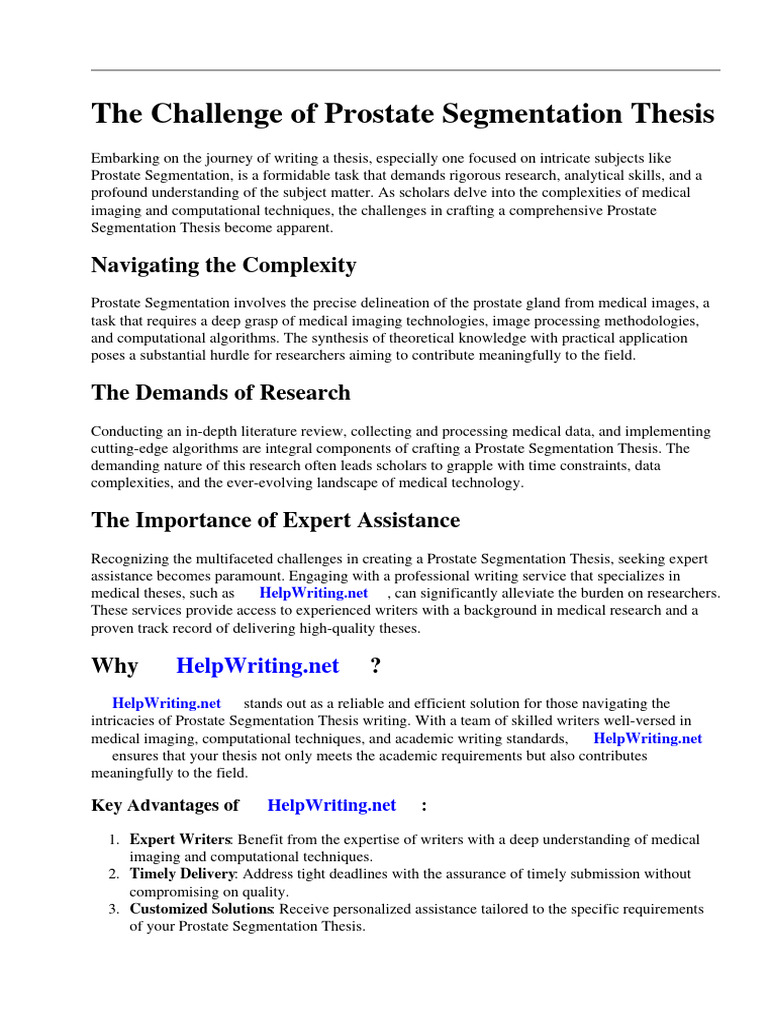 Prostate Segmentation Thesis | PDF | Image Segmentation | Magnetic Resonance Imaging