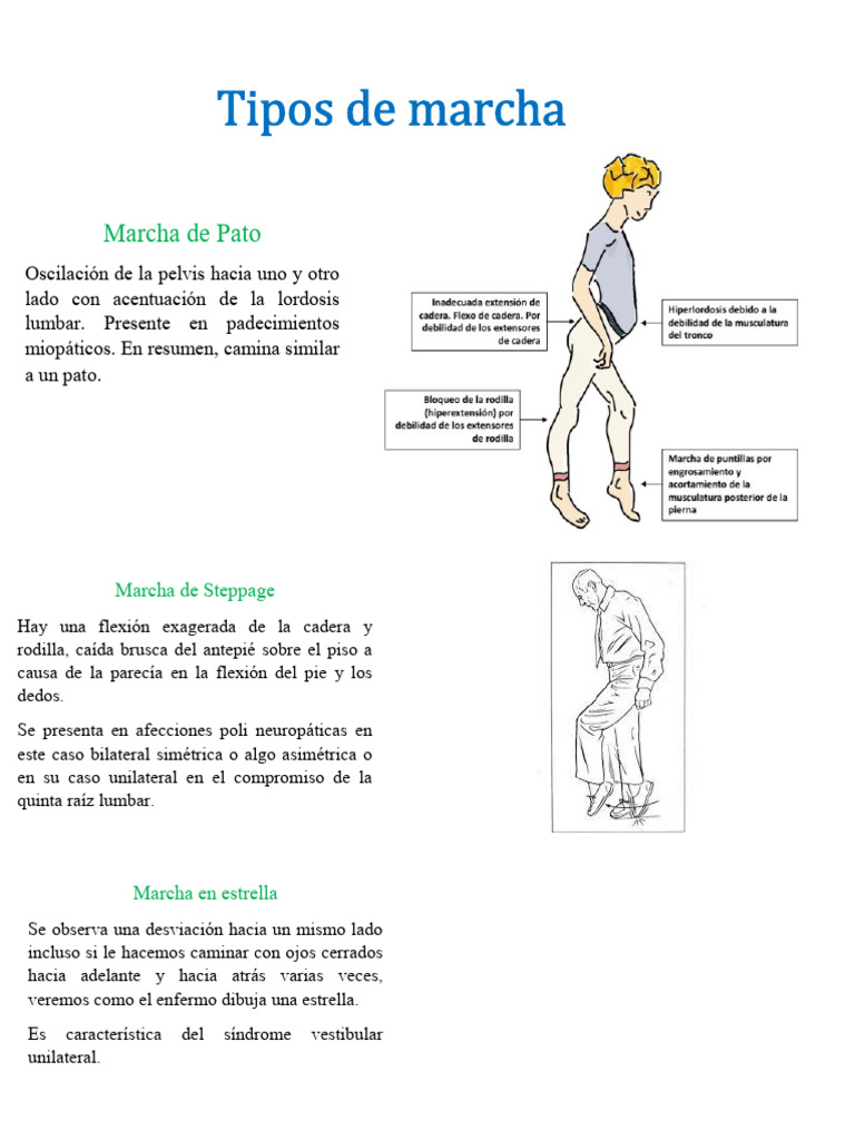 Tipos de Marcha en Medicina | PDF | Causas de la muerte | Enfermedades ...
