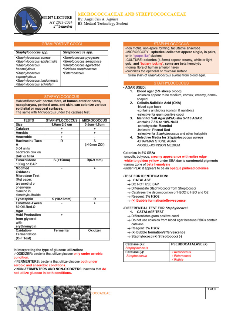 Micrococcaceae and Streptococcaceae Transes | PDF | Streptococcus ...