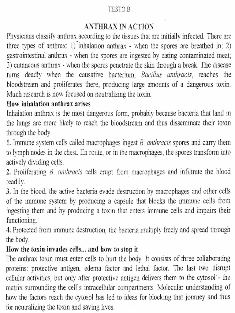 Anthrax | PDF