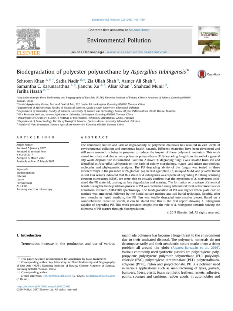 Aspergillus tubingensis: PU Biodegradation | PDF | Polyurethane | Fungus