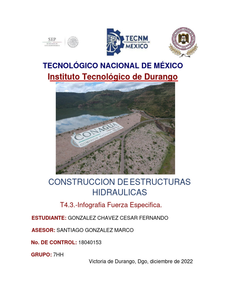 T4.3.-Infografia de Fuerza Especifica | Descargar gratis PDF | Fuerza ...