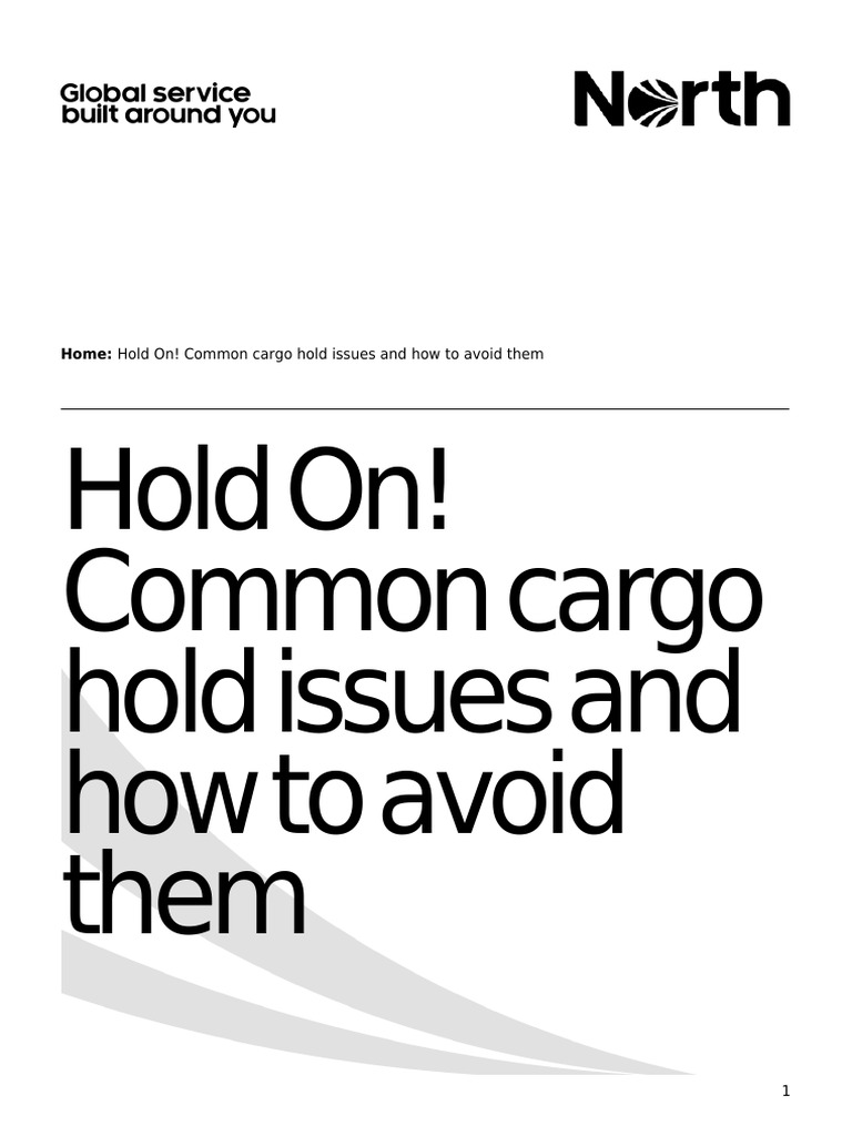 Hold On! Common Cargo Hold Issues and How To Avoid Them - North | PDF ...