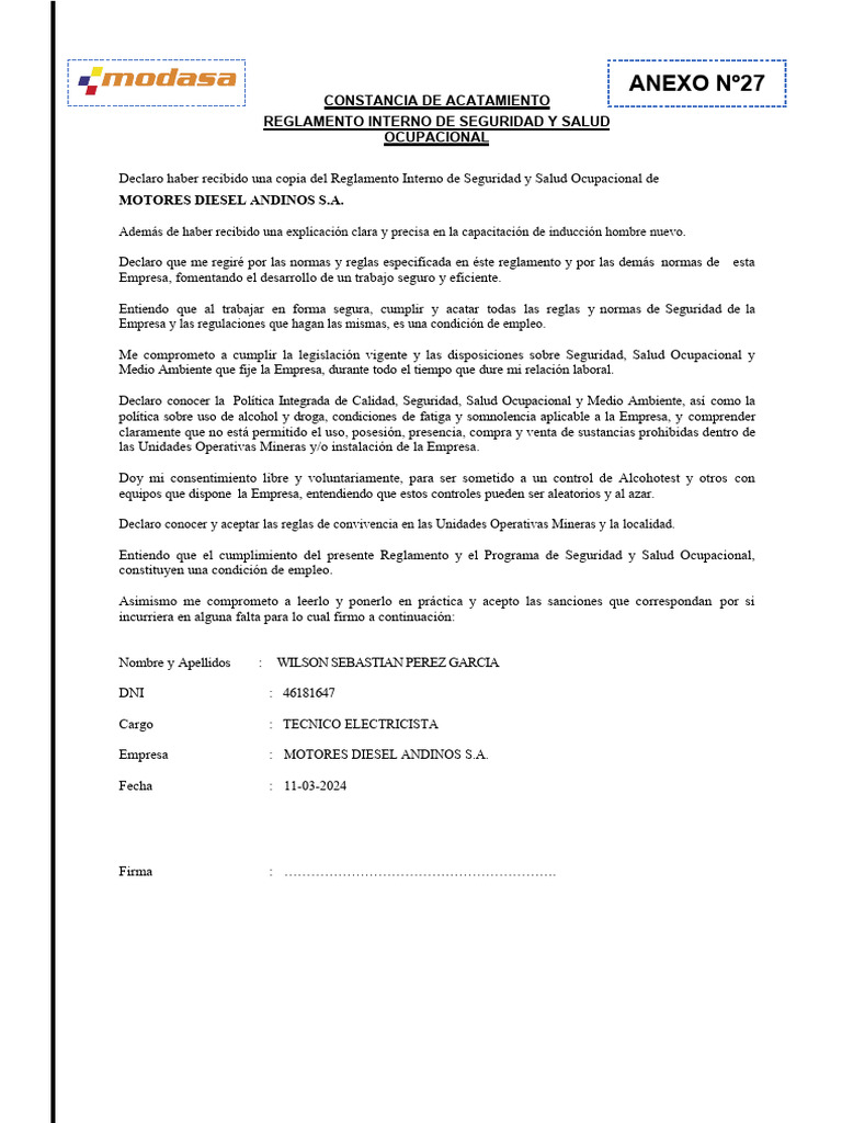 Anexo 27 Formato Cargo de entrega del RISSO CONEXA | PDF