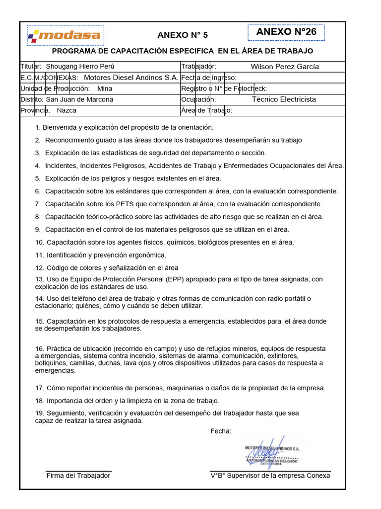 Anexo 26 FORMATO ANEXO N° 5 - CONEXAS | PDF