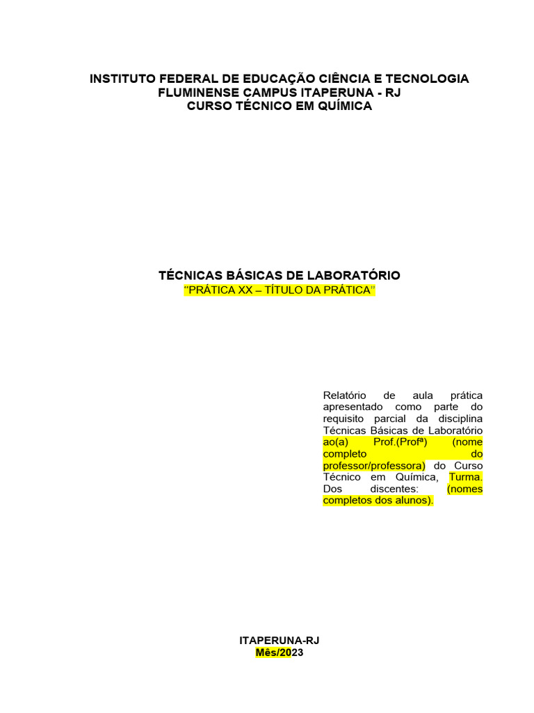 Modelo de Relatã Rio (2) 2 | PDF