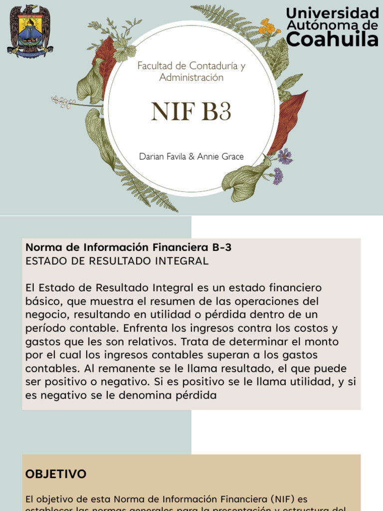 Nif B3 | PDF | Estado financiero | Estado de resultados