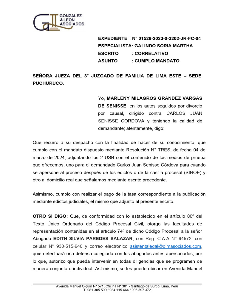 ADJUNTO DOCUMENTOS | PDF | Separación de poderes | Ley Pública